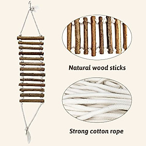 Hamiledyi Gecko Ladder Bridge, 2 PCS Wooden Reptile Ladders Hanging Bearded Dragon Rope Bridge Hermit Crab Climbing Toys Terrarium Accessories for Chameleons Turtle Lizard Frog