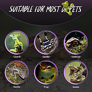 AOMRYOM 100W Basking Spot Infrared Night Heat Lamp Moonlight Heat Bulb for Reptiles & Amphibians 2 Packs