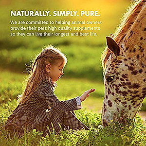 Equa Holistics HealthyGut™ Probiotics for Horses Dietary Supplement, All-Natural Digestive System Maintenance Formula (30 Days)