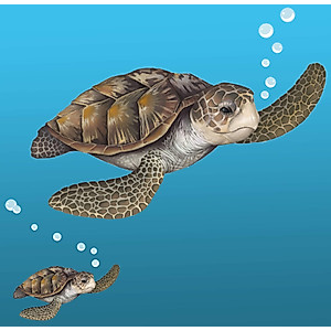 Sea Turtle Wall Decal ~Ocean Undersea Animal Tortoise Wall Sticker for Kids Room Decor, Boys Girls Toddler Baby Nursery Bedroom, Playroom, Bathroom, Vinyl Art Gift