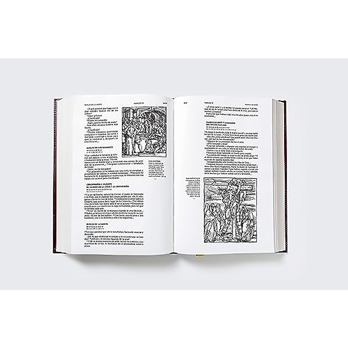 Biblia Católica, Ilustrada, Piel genuina, Café, Comfort Print (Spanish Edition)