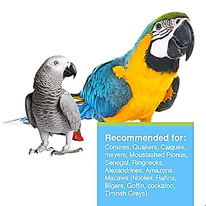 Tropimix Bird Food, Large Parrot Food with Seeds, Fruit, Nuts, Vegetables, Grains, and Legumes, Enrichment Food, 20 lb Bag