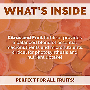 Bloom City's Organic Citrus & Fruit Fertilizer for Fruit Trees - Citrus Tree Fertilizer for Potted Trees - Perfect Lemon Tree Fertilizer, Quart (32 oz)