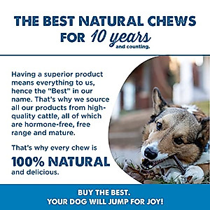 Best Bully Sticks 6 Inch Gullet Thin Stick Dog Treats (25 Pack) - All-Natural Beef Dog Treats - Hollow, Quick Chew Snack for All Dogs - Great for Teething Puppies, Senior Dogs, Light Chewers