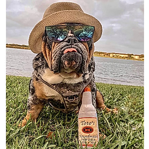 Nestpark Toto's Dog Toy - Funny Dog Toys - Plush Squeaky Crinkle Toys for Medium, Small and Large - Cute Dog Gifts for Dog Birthday - Cool Stuffed Dog Toys