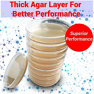 Tryptic Soy Agar (TSA) Plates by Evviva Sciences - Prepoured TSA Petri Dishes - Excellent Product and Performance - Top Science Kit for Science Fair Projects- Intended for Ages 15 & Older
