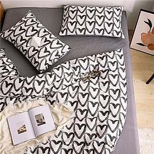 BUniq Duvet Cover Set King/Twin/Full/Queen Size, 3 Pieces (1 Duvet Cover + 2 Pillow Cases), Textured Duvet Cover with Zipper Closure, Four Corner Ties,Ultra Soft Washed Microfiber(Queen,006)