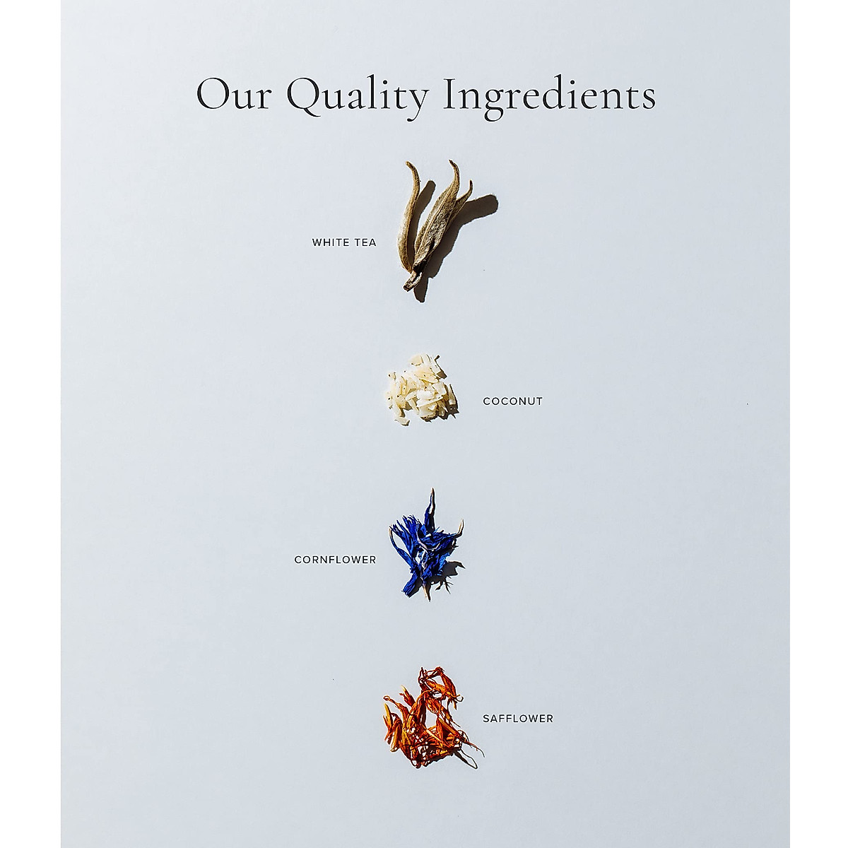 Art of Tea | Organic White Coconut Crème | 12 Count Eco Friendly Sampler Box Assortment | Premium Caffeinated Organic White Tea Variety | Biodegradable Sachets