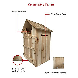 Sundia Screech Saw Whet Owl Kestrel Flicker Barn Large Big Bird Nesting Wooden Box Resident Habitant House (D100)