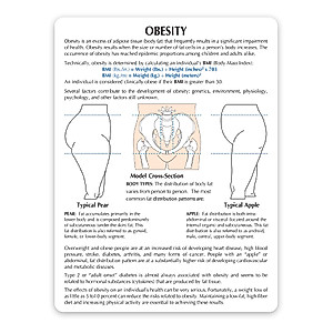 Obesity Model | Human Body Anatomy Replica of Overweight Body Types for Doctors Office Educational Tool | GPI Anatomicals
