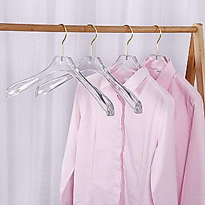 Quality Clear Acrylic Clothing Hangers – 2 Pack, Curved Stylish Clothes Hanger with Gold Hooks - Coat Hanger for Dress, Suit - Closet Organizer Adult Hangers - Heavy Duty Cloth Hangers (Gold Hook, 2)