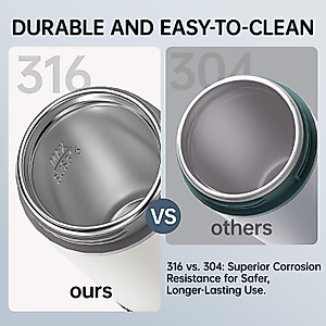 HOWDIANQY Dual Voltage Portable Electric Kettle Travel Hot Water for Tea, Coffee, 6 Temperature Controls and LCD Display, 316 Stainless Steel and 450ml, Auto Shut Off & Boil Dry Protection