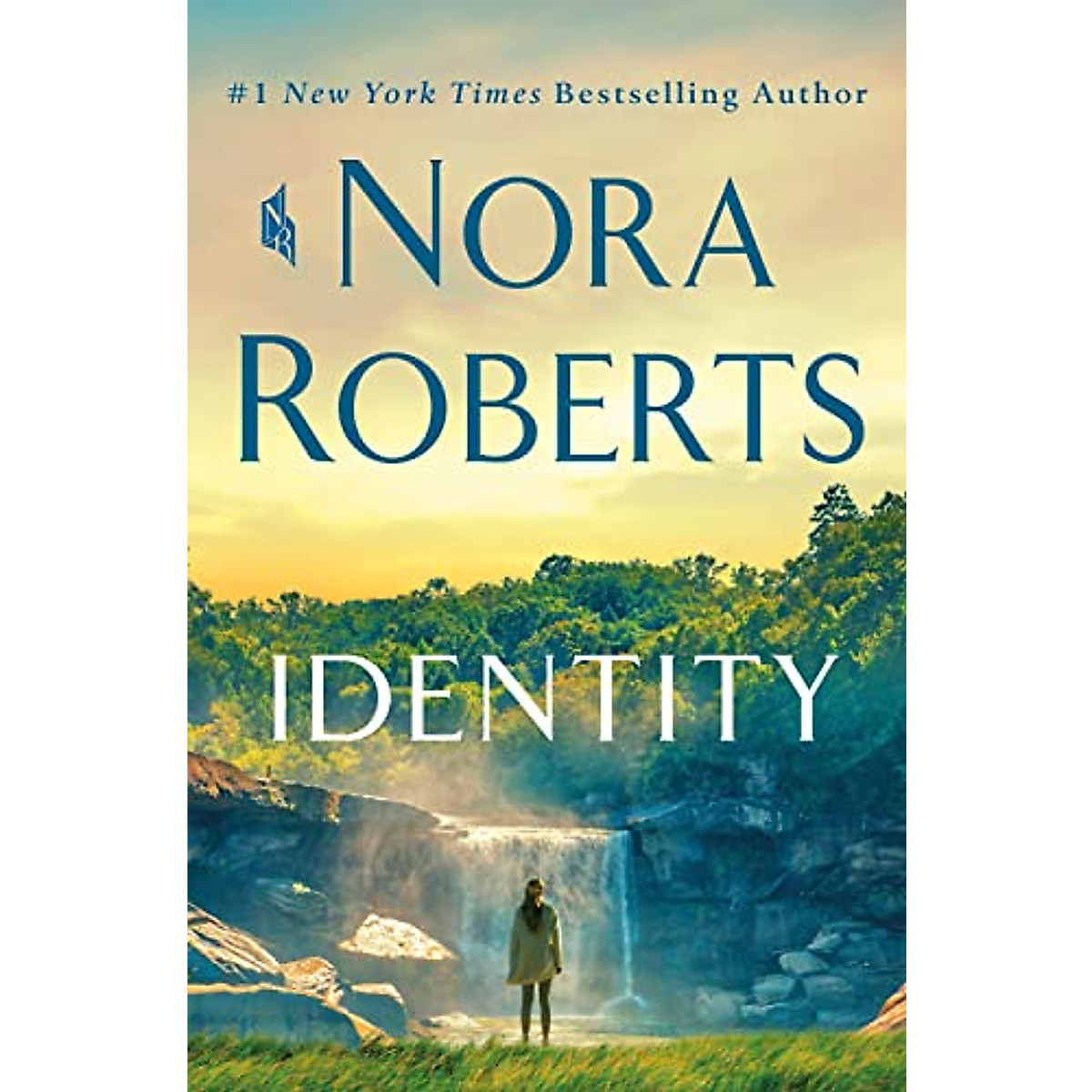 Identity: A Novel