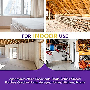 Hot Shot BedBug And Flea Fogger, Inhibits Flea Reinfestation, 2 Ounce Cans, 6 Count