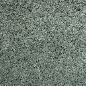 Eddie Bauer- Throw Blanket, Ultra Soft Plush Home Décor, All Season Bedding (Ultra Lux Solid Green, 50 x 60)