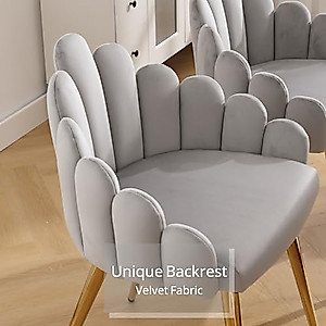 HEAH-YO Dining Chairs Set of 4, Upholstered Velvet Dining Room Chairs with Barrel Backrests and Gold Metal Legs, Comfy Accent Side Chairs for Living Room Kitchen, Grey