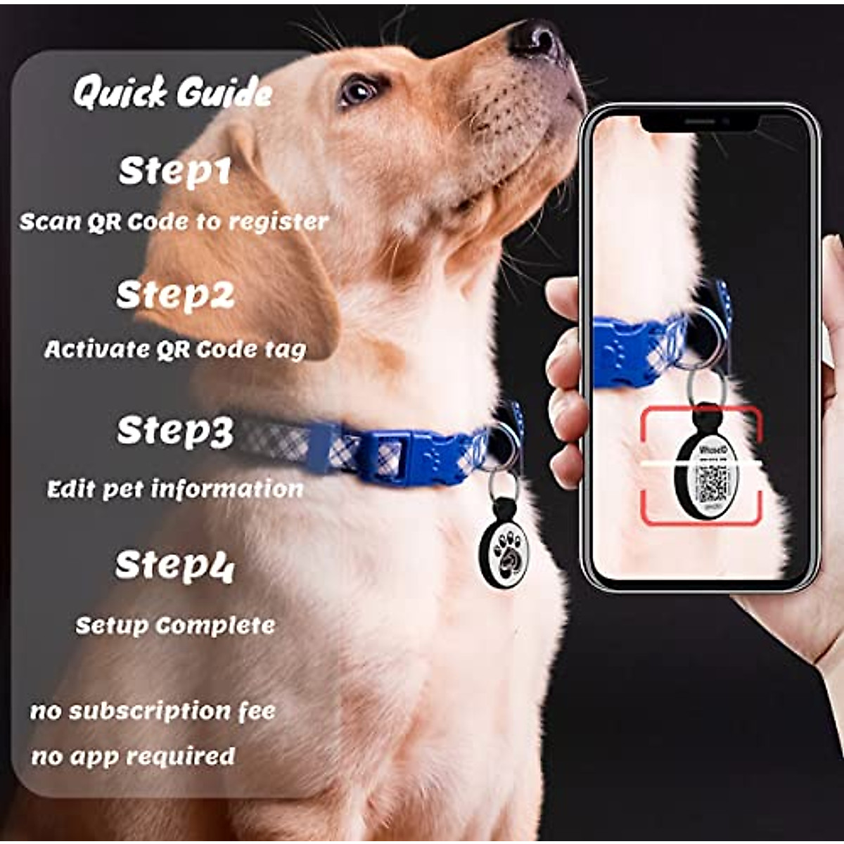 WhoseID QR Code Dog Tag, Pet ID Tag, Dog ID Tag, Waterproof Lightweight Silent Pet ID Tag, Modifiable Free Pet Online Profile, Multiple Contact Information, Scan QR Code Send Pet Location (Paw, Rose)