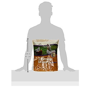 Manna Pro 7-Grain Ultimate Chicken Scratch - Scratch Grain Treat for Chickens and Other Birds - Non-GMO Natural Ingredients - 10 lbs