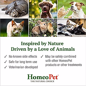 HomeoPet UTI Plus Urinary Tract Infection, Urinary Tract Support for Cats, 15 Milliliters