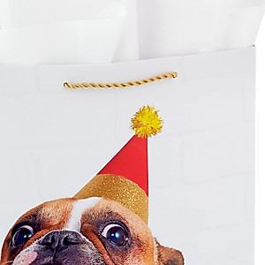 Hallmark 13" Large Birthday Gift Bag with Birthday Card and Tissue Paper (Dog, Did Someone Mention Cake?) for Kids, Parents, Coworkers, Friends