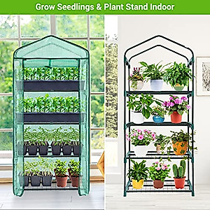 Ohuhu Mini Greenhouse for Indoor Outdoor, Small Plastic Plant Green House 4-Tier Rack Stand Portable Greenhouses with Durable PE Cover for Seedling, 2.5x1.6x5.2 FT, Ideal Gardening Gifts for Women Men