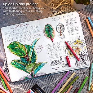 ARTEZA Felt Tip Pens, Set of 24, Sherbet Colors, 1.0–1.5mm Fiber Tip, Quick-Drying Ink