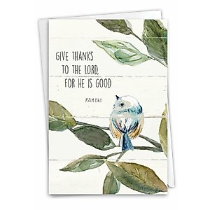 The Best Card Company Thank You Greeting Card w/ 5 x 7 Inch Envelope (1 Card) Scripture Birds C7108ETYG