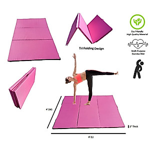 X-Factor 5 Ft Horizontal Bar Athletic Teens Adjustable Gymnastics Children Junior Training Kip Bars Purple with 4' x 6' Gymnastic Mat Set