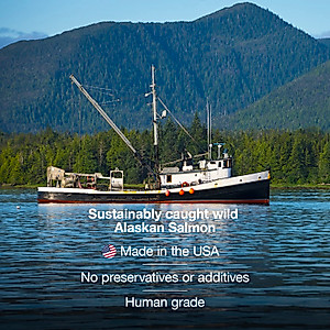 Wild Alaskan Salmon Oil for Dogs, Cats, Ferrets: Unscented Anti-Itch Skin and Coat Supplement with Omega-3 Vitamins - Liquid Fish Allergy Relief Pump on Food - Kitten Supplies & Accessories Stuff