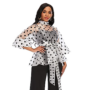 AOMEI Women's Stand Collar Polka Dot See Through Front Tie Peplum Blouse Transparent XXL