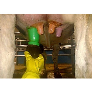 Teat Dip Cup (Green) Non Reflow Nipple Cleaning Disinfection Dip Cup for Cow Sheep Goat by Blisstime