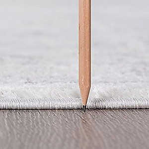 Ellery Gray 8x10 Area Rug 8x10 - Area Rugs for Living Room - Dining Room Rug - Bedroom Rug - Kitchen Rug - Entryway Rug Carpet - Alfombras para Salas Modernas - Persian Style