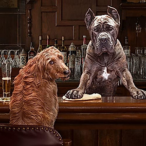 Fromm Heartland Gold Adult Premium Dry Dog Food - Beef Recipe - 4 lb