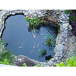 dashengdianzi Pond Liner, 6' x 10' Preformed Pond Liner Pond Skins for Fish Ponds, Waterfall, Streams Fountains and Water Gardens