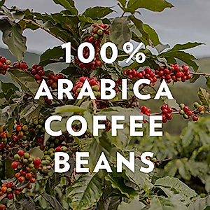 Community Coffee Signature Blend Instant Coffee, Dark Roast, 7 oz Jar (Pack of 4)