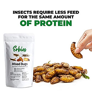 Erbies Edible Bugs Mixed Trail Mix, 15g Bag, Seasoned and Crunchy Insects, Crickets, Grasshoppers, Silkworm Pupae, and Sago Worms, Protein Packed Snack, Fun Gift Idea (1-Pack)