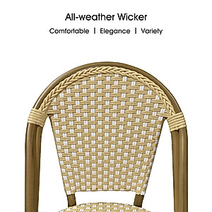 PURPLE LEAF Bistro Chair (Set of 2) French Hand-Woven Wicker Chairs for Outdoor Patio Porch Garden Indoor, Bamboo Print Finish, Cream Yellow, Dining Chairs