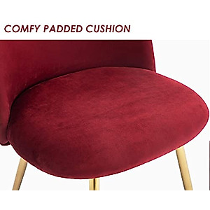 HNY Velvet Accent Chairs Set of 2, Mid Century Modern Dining Chairs with Gold Metal Legs, Upholstered Side Chair for Living 2PC