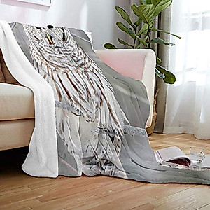 Greeeen Plush Fleece Throw Blanket | Fuzzy, Soft, Warm, Cozy, Reversible Blanket for Bed Couch Sofa Chair Travel- 39 x 49 Winter Owl