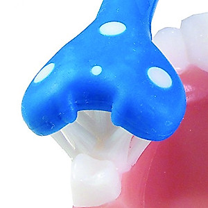 Surround Toddler Toothbrush (Pack of 2) (Blue/Coral)