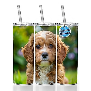 Cavapoo Dog Puppy Photo Skinny Tumbler 20oz with Straw Insulated Water Bottle Gift