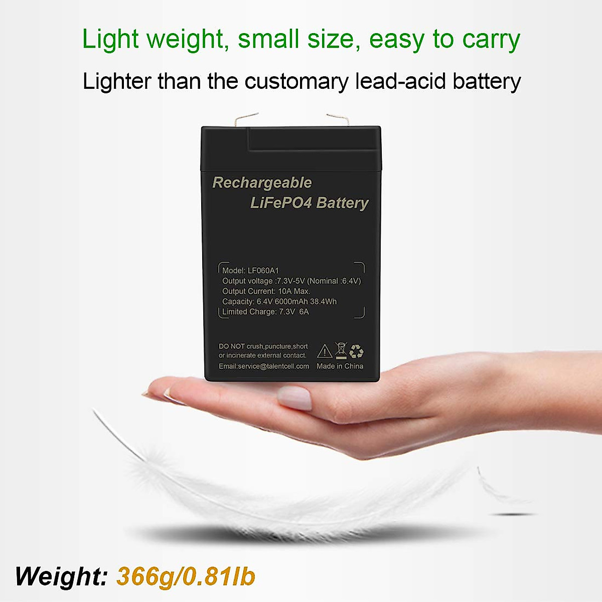 Talentcell 6V 6Ah LiFePO4 Battery Pack LF060A1, 2000 Cycles Rechargeable Lithium Iron Phosphate Battery with Charger