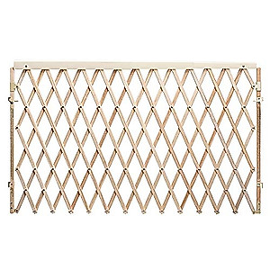 Evenflo Expansion Walk Thru Room Divider Gate
