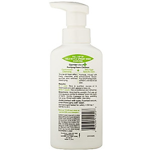 Garnier Clean+ Purifying Foam Cleanser For Combination Skin, 6.8 Fluid Ounces