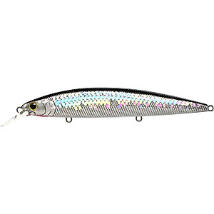 LUCKY CRAFT SW Surf Pointer 115MR (765 MS Anchovy)