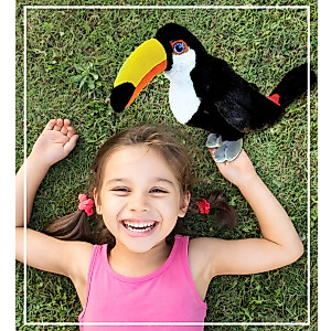 DolliBu Toucan Plush - Super Soft Toucan Stuffed Animal, Cute Tropical Rainforest Animals Figures Bird Plush Toy for Boys and Girls, Adorable Toucan Bird Toy for Kids, Teens, and Adults - 8 Inches