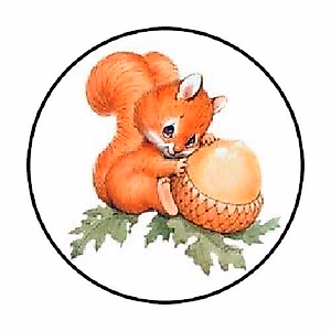 without brand Set of 48 Envelope Seals Labels Cute Squirrel 1.2" Round