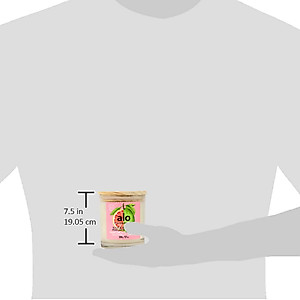 Fruits & Passion Cucina Coriander and Olive Tree Perfumed Plant Based Wax Candle 7.7 Ounces