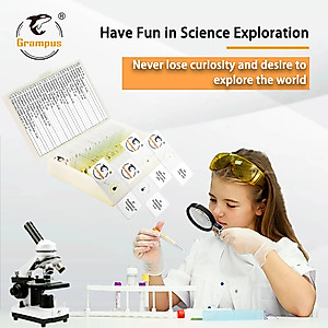 30 Prepared Microscope Slides with Specimens for Kids Students - Insects, for Biological Science Lab, Children's Science Education, Homeschooling Use