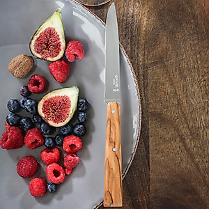 Opinel Set of 4 Bon Appetit Steak Knives - Southern Olive Wood